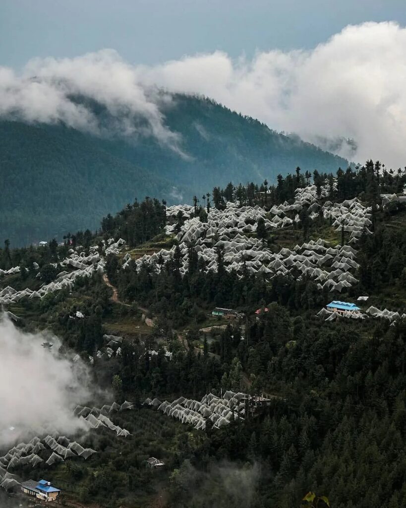 9 Offbeat Places Near Shimla and Manali